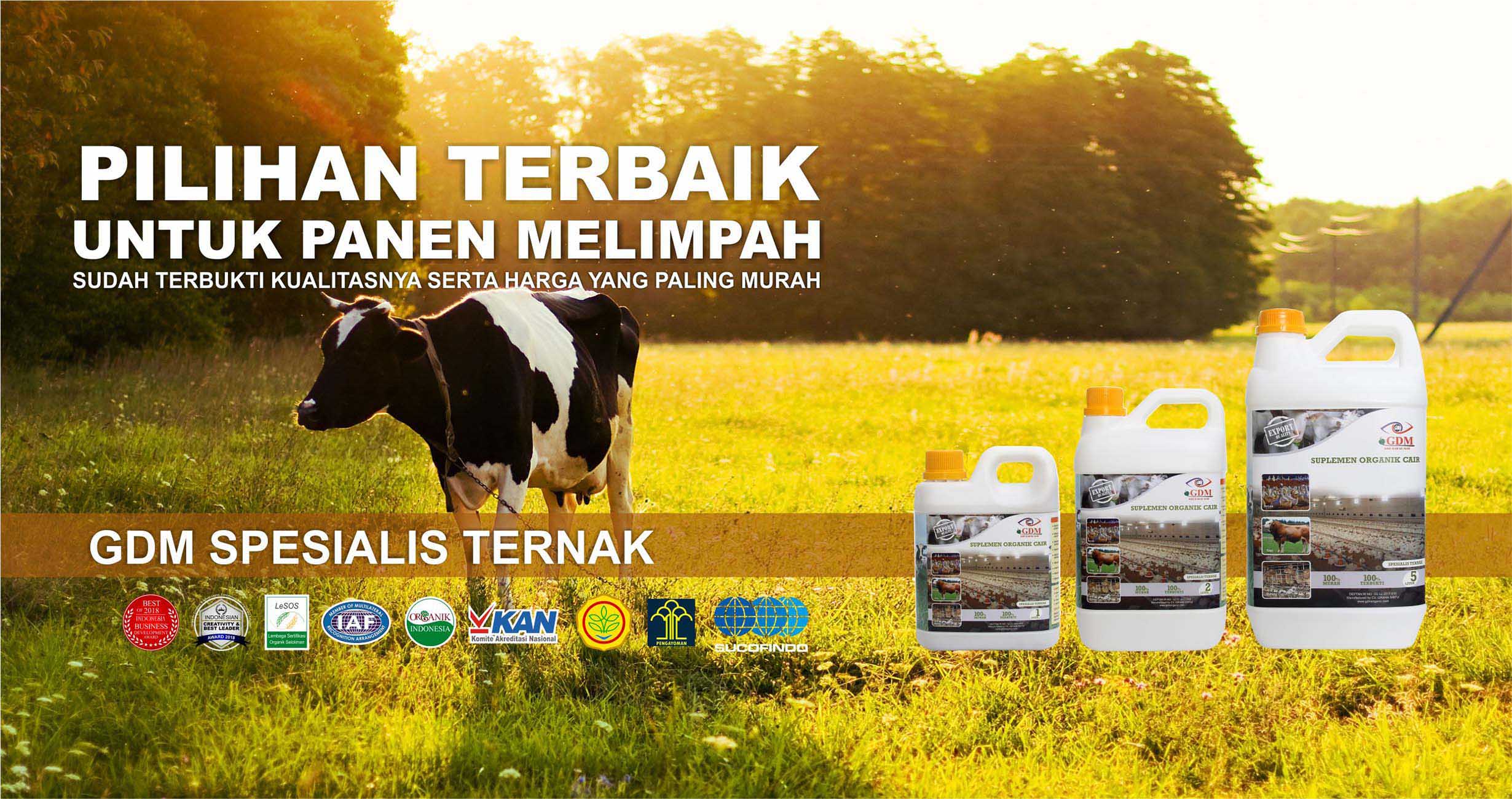 Cara Fermentasi Pakan Ternak Dengan Suplemen Organik Cair GDM ...