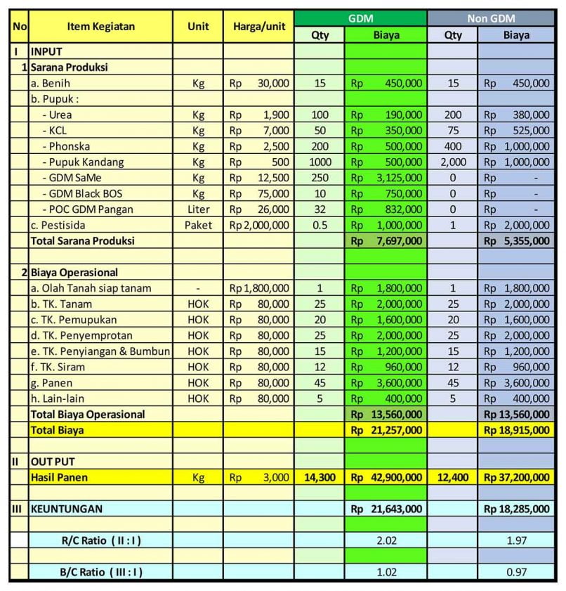 Cara Menanam Terong Tingkatkan Panen Hingga 50 Kg Setiap Hari