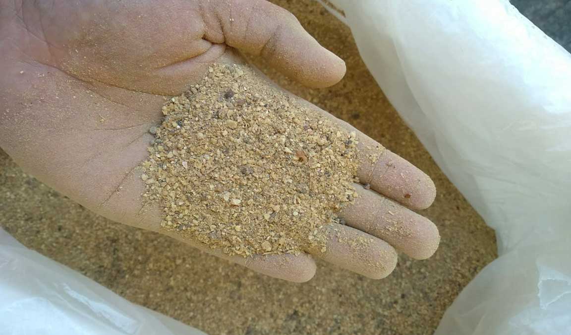 Jenis Pakan Ayam Petelur Agar Cepat Bertelur dan Bagus