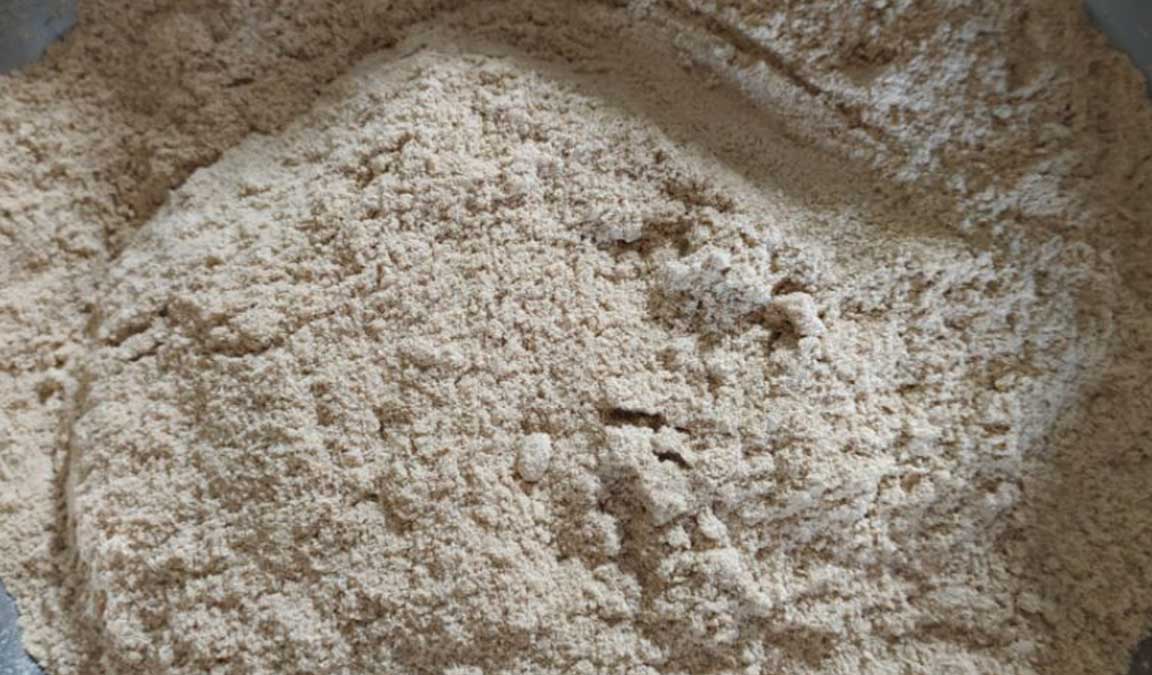 Pakan Fermentasi Bebek Terbaik: Jenis, Kandungan Nutrisi