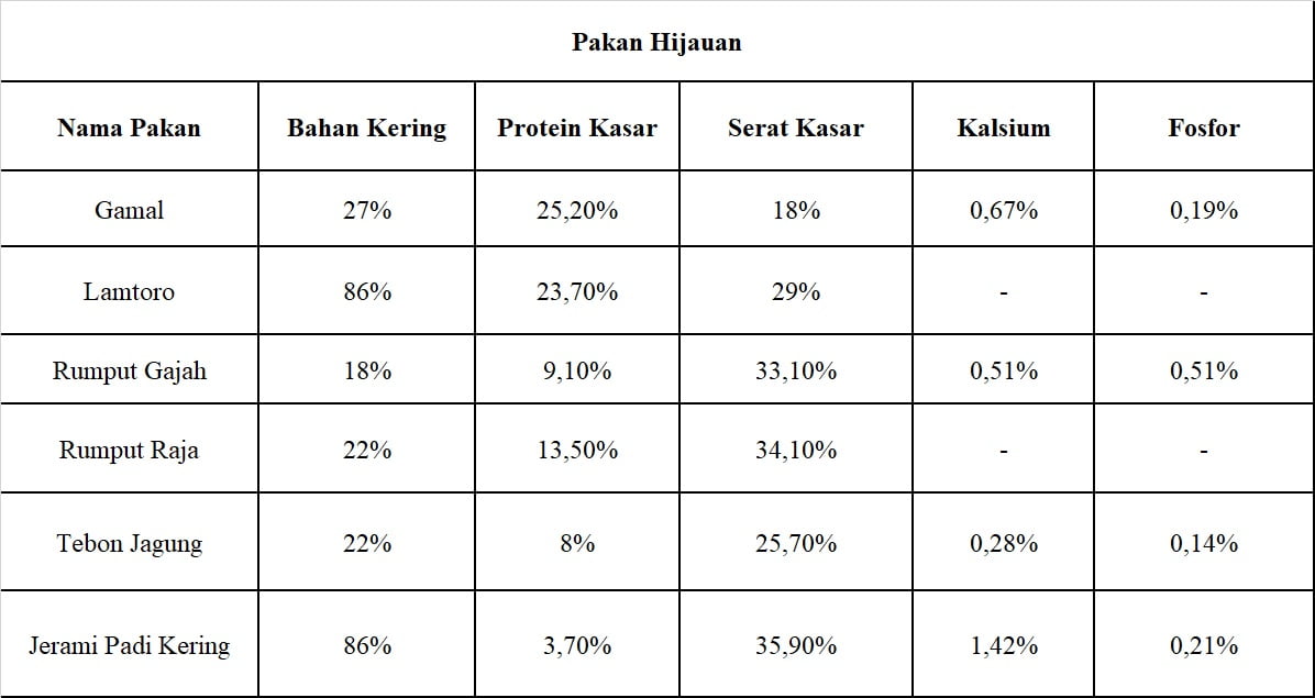Cara Merawat Sapi Agar Cepat Besar dan Lebih Menghasilkan