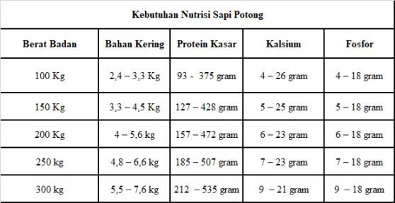 Penyakit Sapi Lumpuh: Gejala, Penyebab, Cara Mengatasi, dan Pencegahan ...